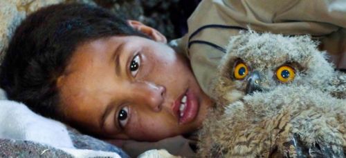 Compétition Officielle / official Competition